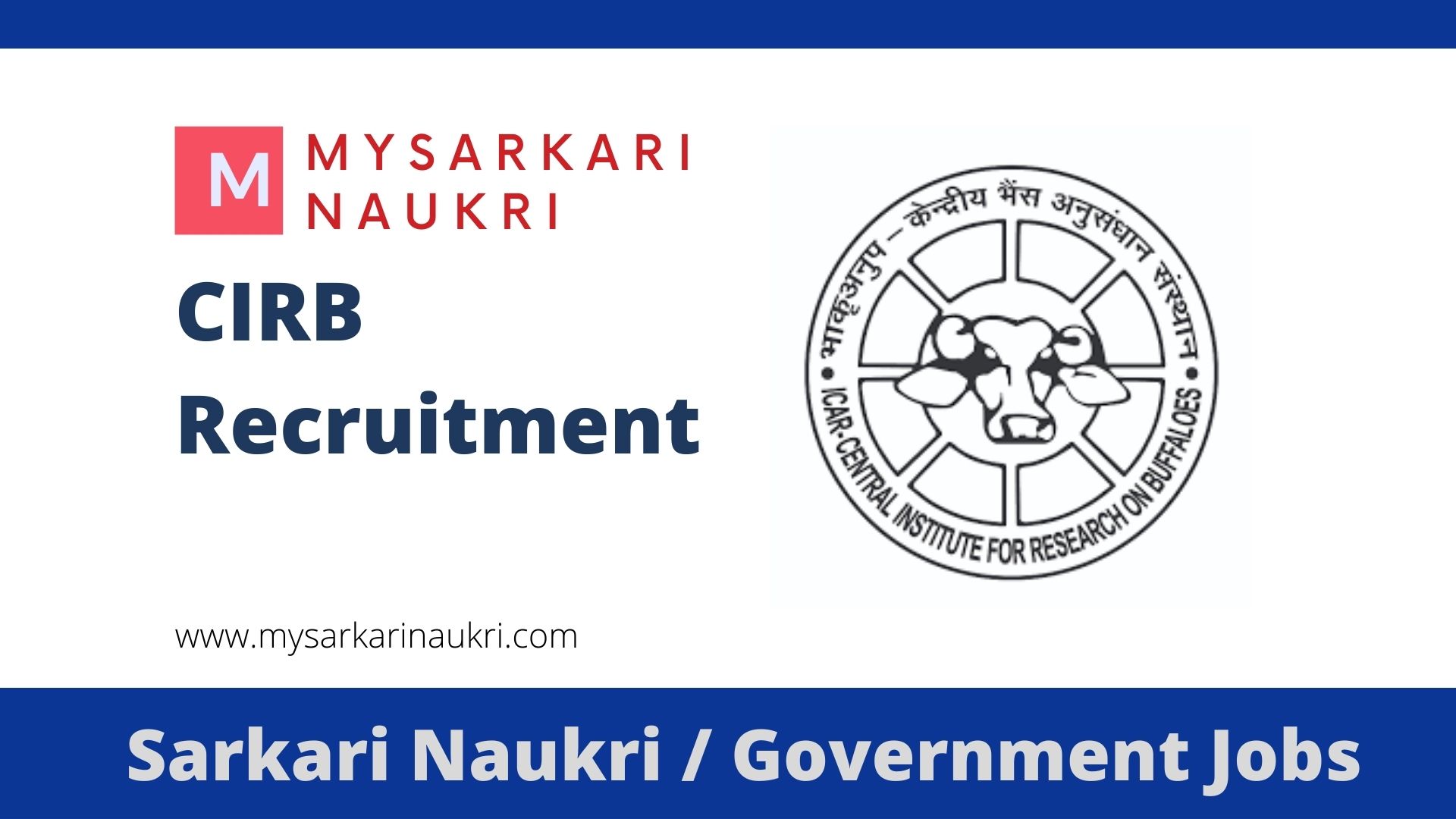 CIRB Recruitment 2025 For Project Assistant - MySarkariNaukri.com