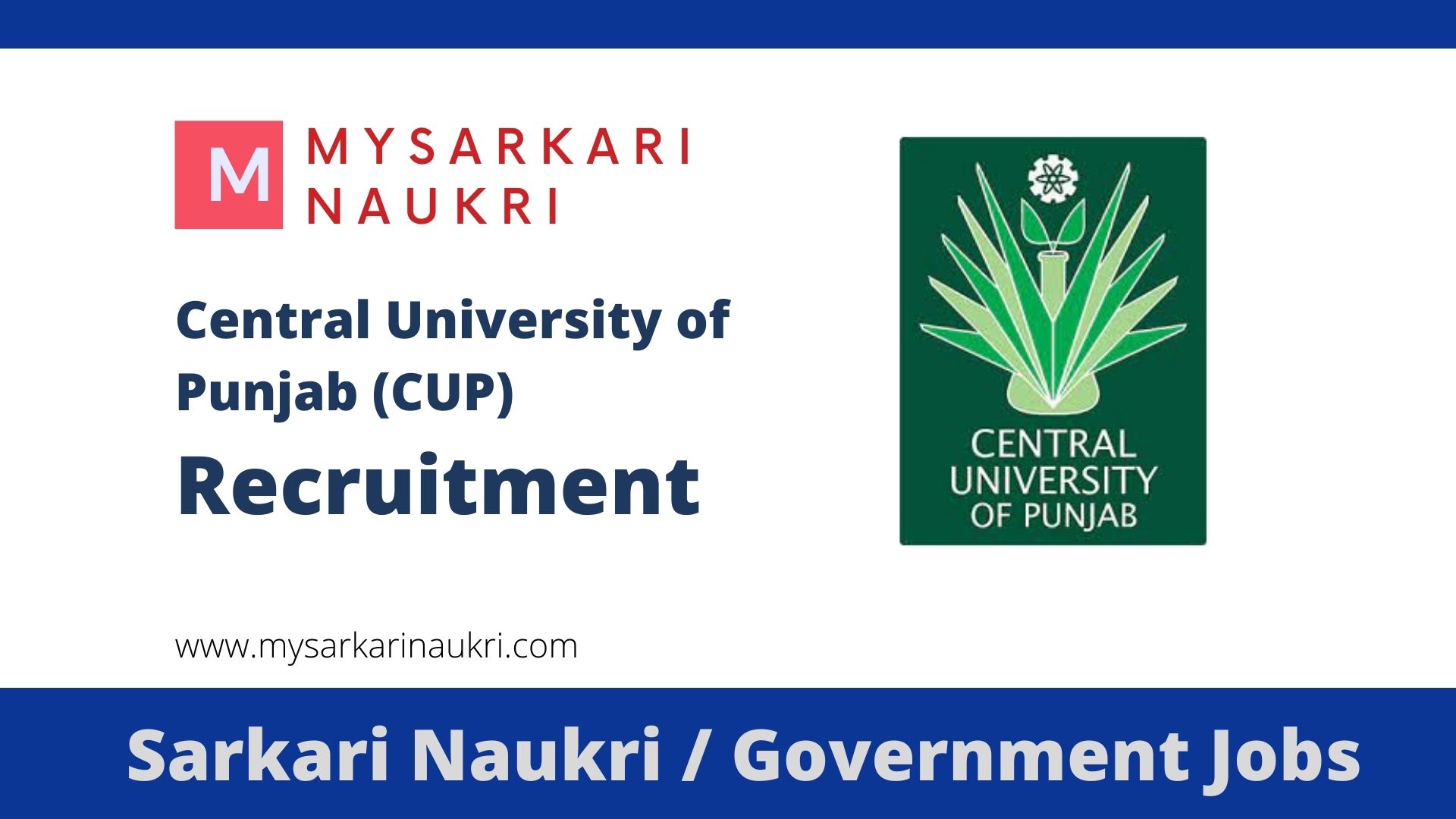 Central University Of Punjab Logo Placement Cell | Central University