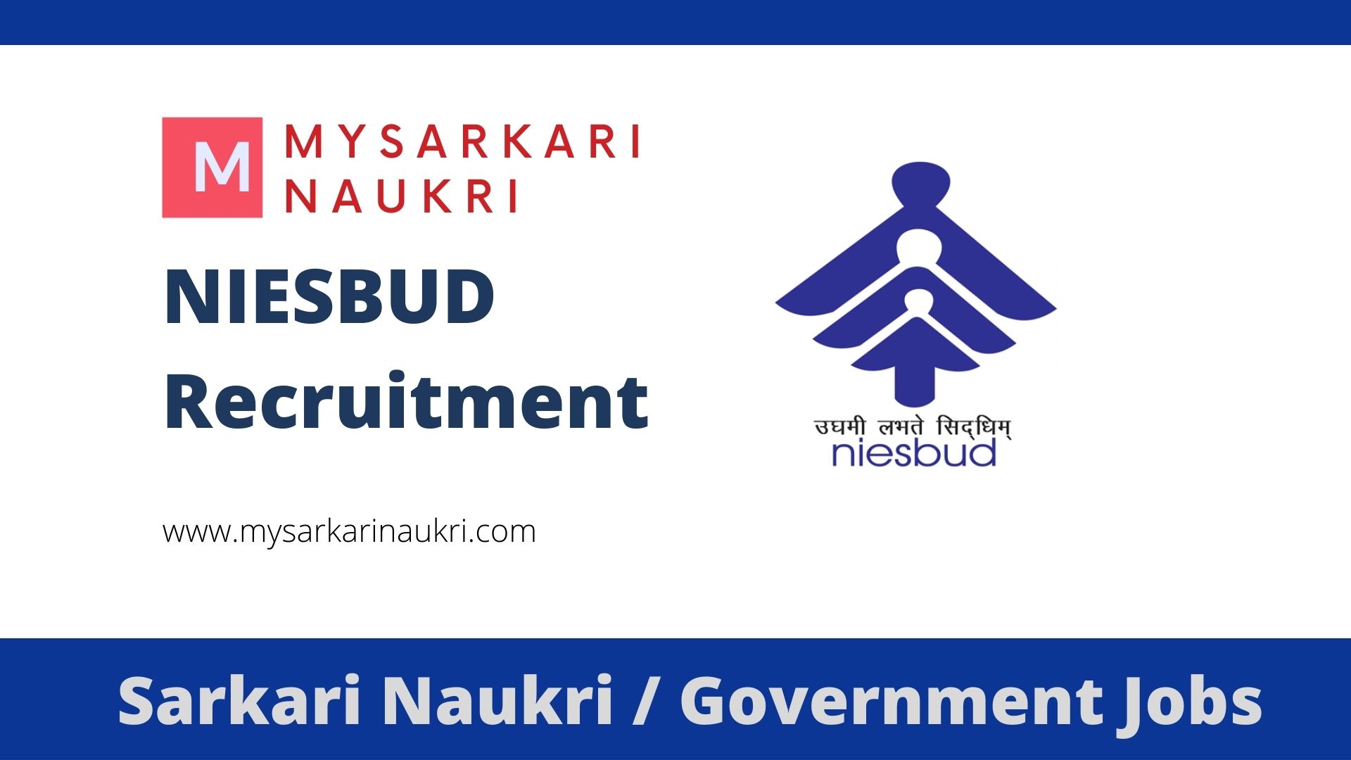 NIESBUD Recruitment 2025 niesbud.nic.in Jobs