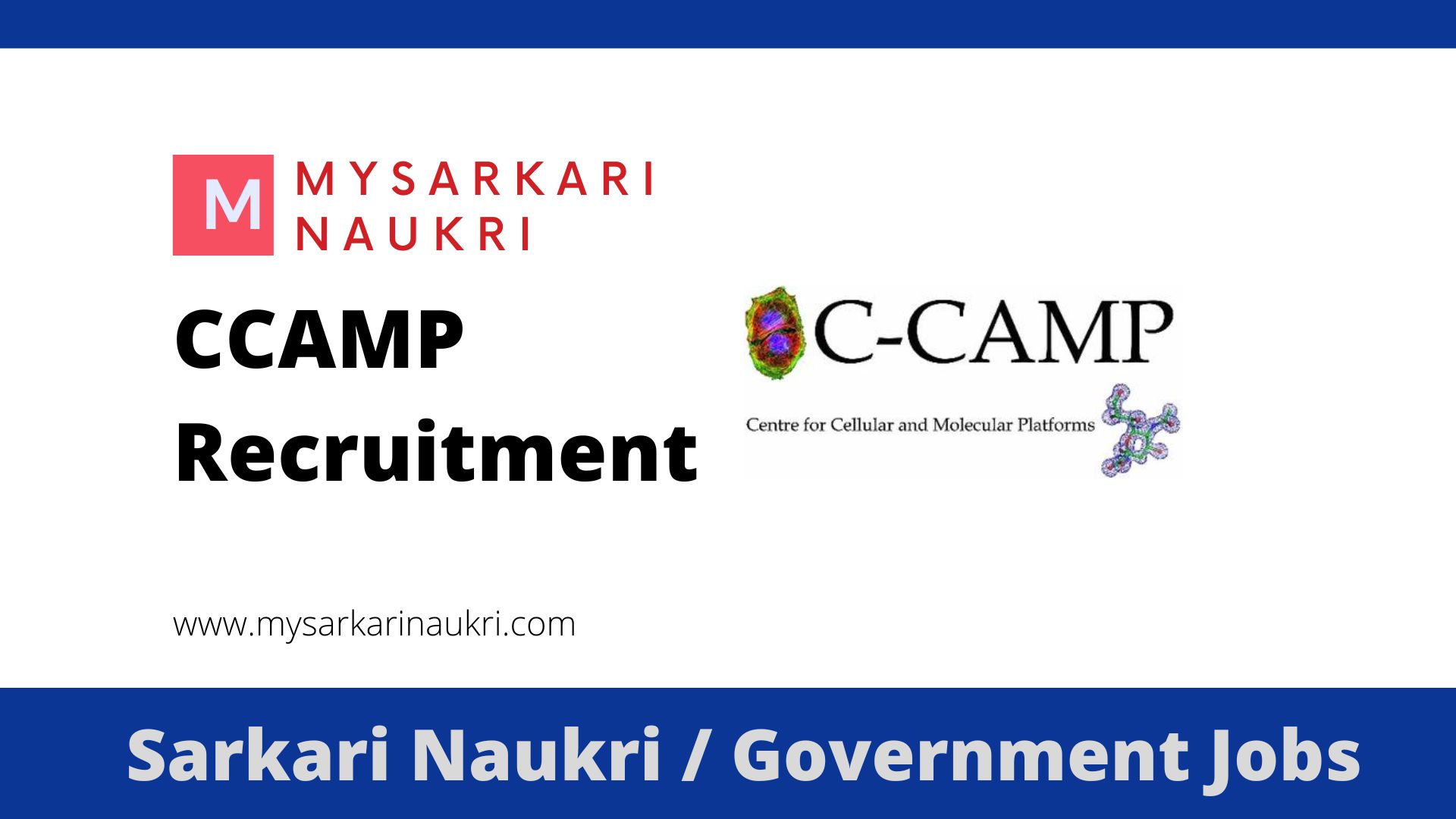 C-CAMP Recruitment 2025 For Project Engineer - MySarkariNaukri.com