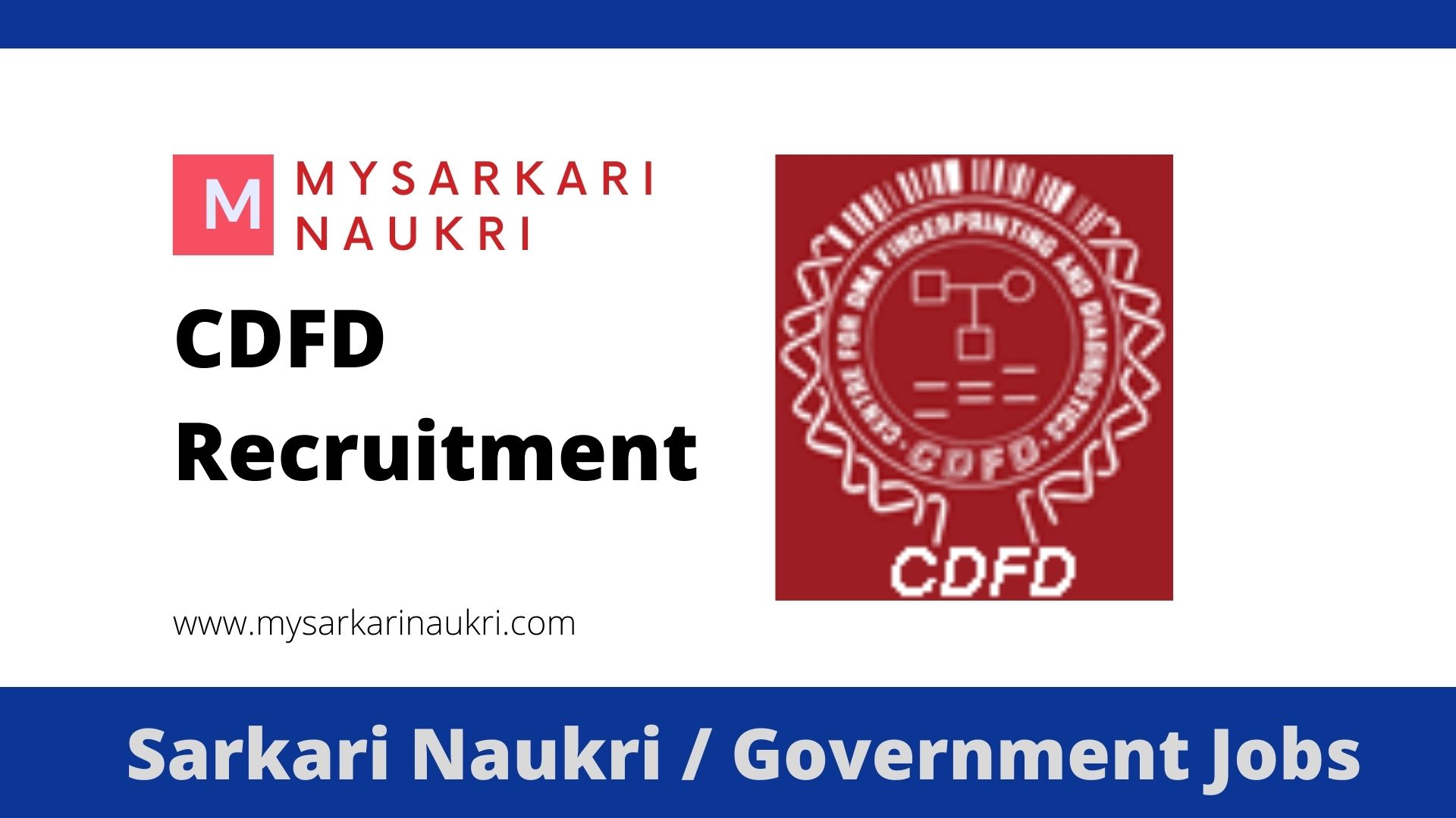 CDFD Recruitment 2024 For 8 Technical Officer and Various Posts ...