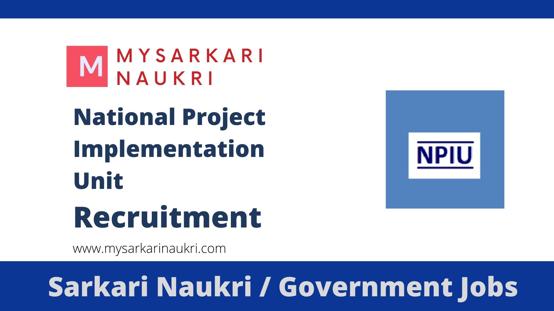 NPIU Recruitment 2025 npiu.nic.in National Project Implementation Unit