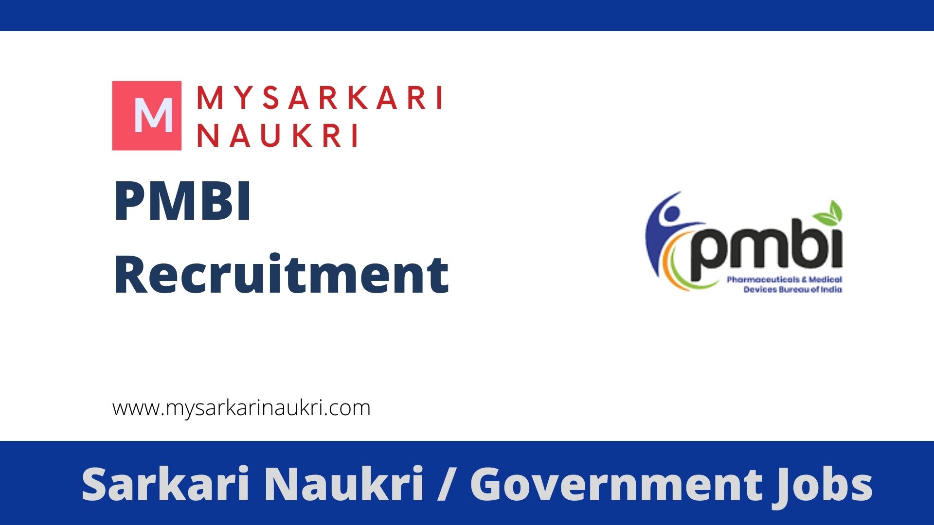 PMBI Recruitment 2025 For Deputy Chief Executive Officer ...