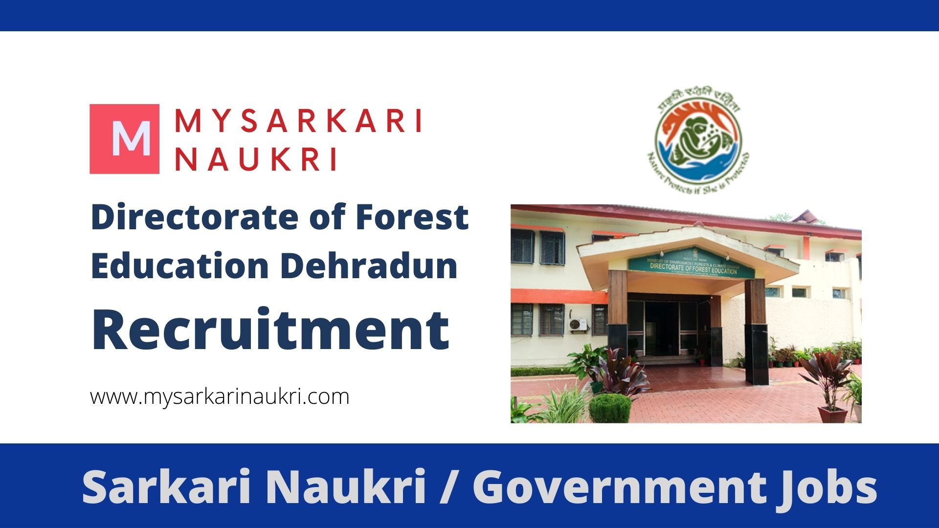 DFE Dehradun Recruitment 2025 For 21 Stenographer and Various Posts ...