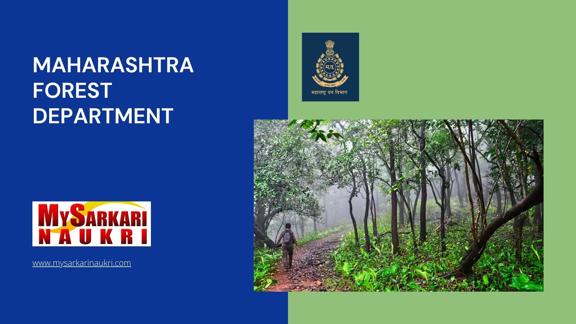 Maharashtra Forest Department Recruitment 2025 For 11 Various Posts ...